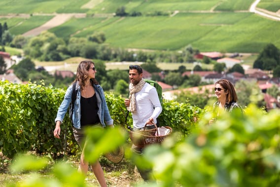 8 activités incontournables pour vos vacances en Champagne