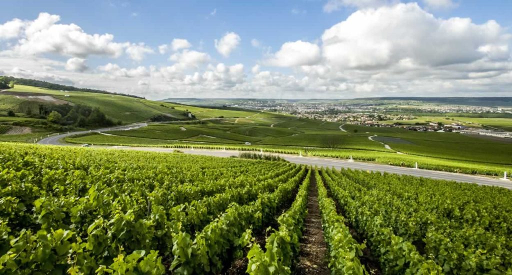 Sur la route des vins de Champagne à Bar-sur-Aube